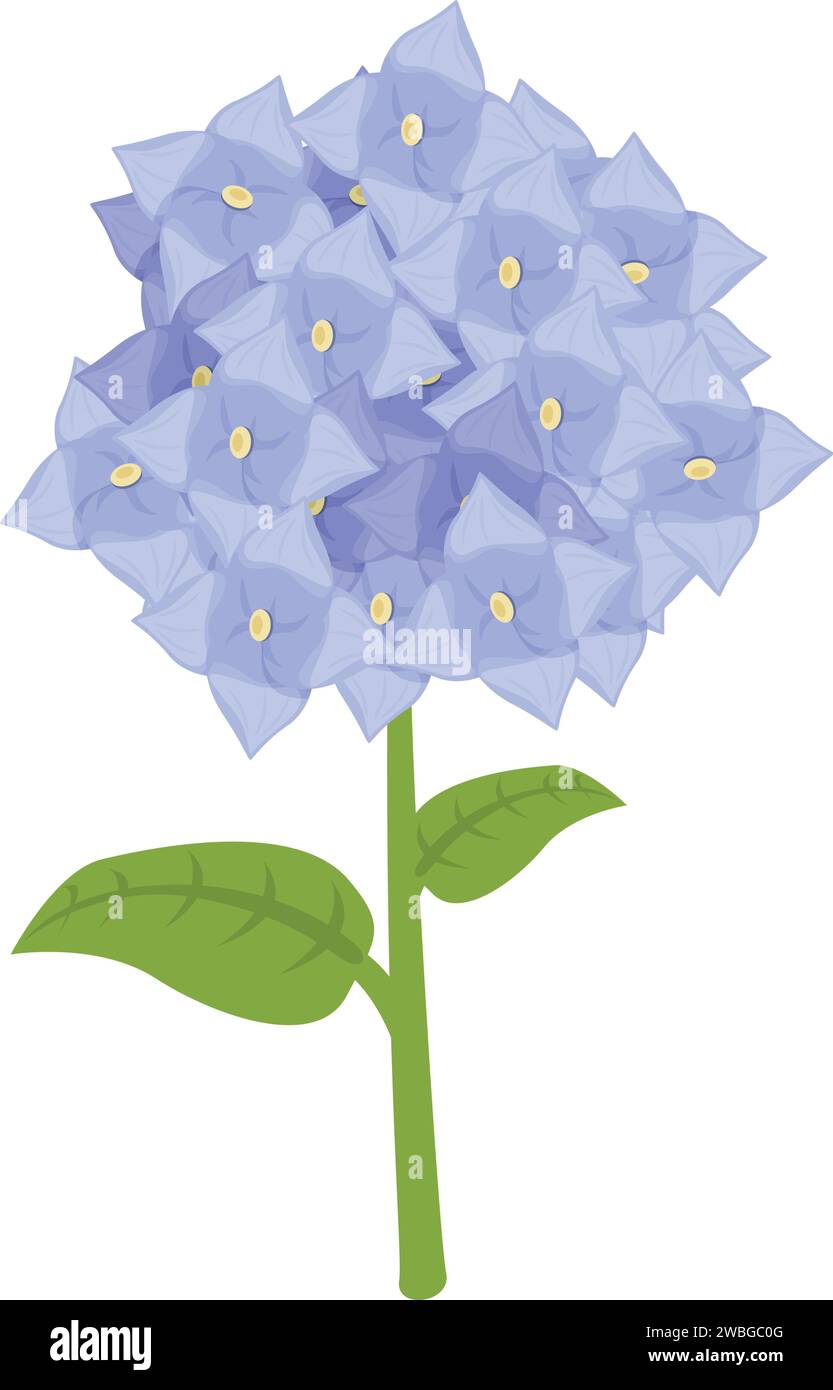Hydrangea petal icon cartoon vector. Floral blossom. Bloom fashion ...
