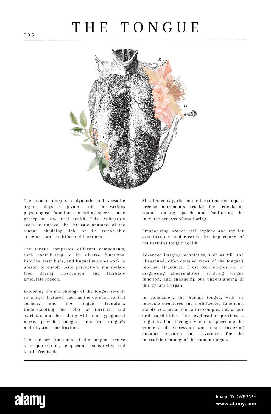 20 Digital Anatomical Medical Illustrations with Description and ...