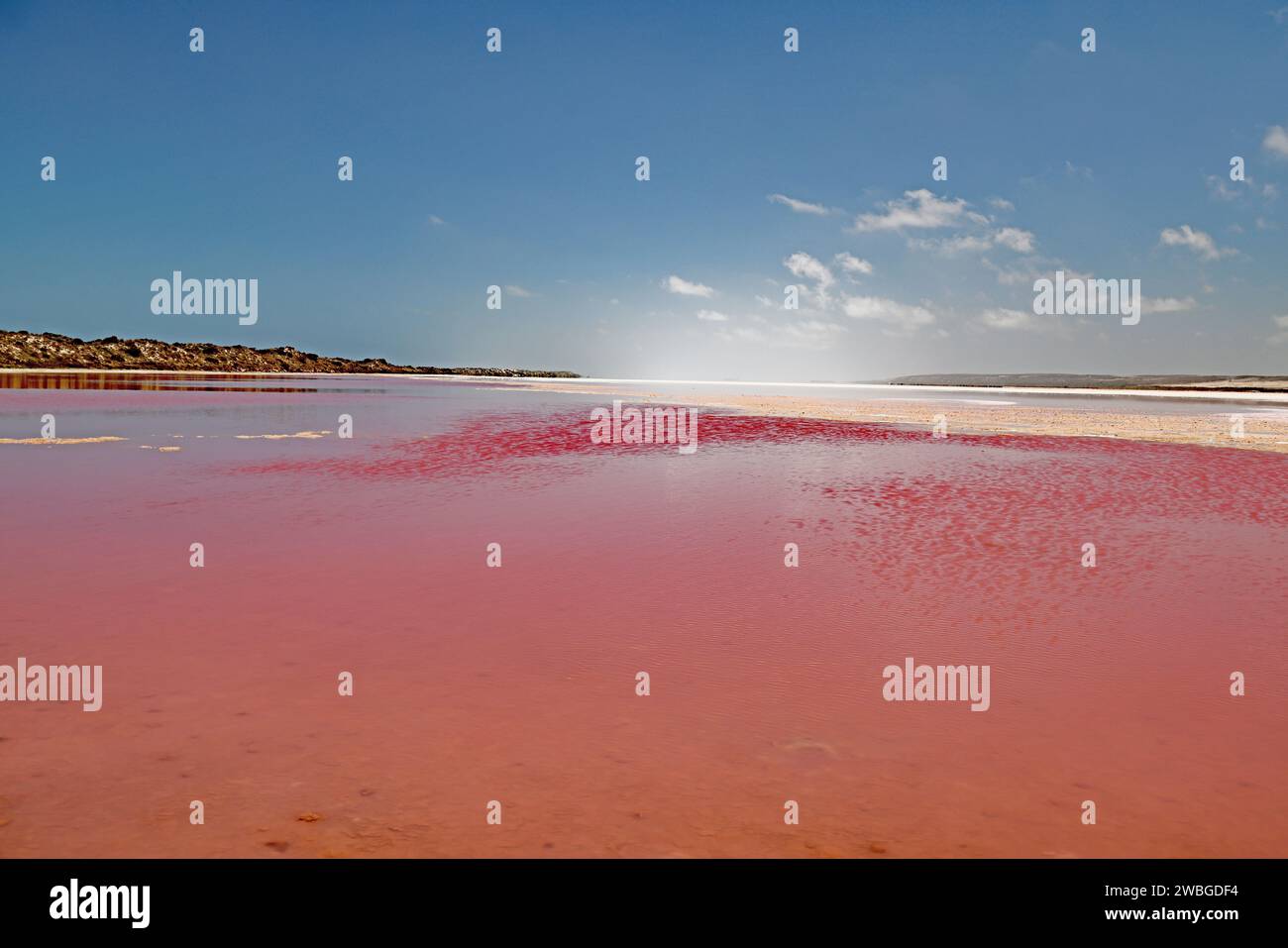 Hutt Lagoon (Pink Lake) Gregory, Western Australia Stock Photo - Alamy