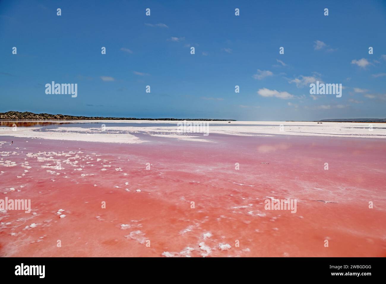 Hutt Lagoon (Pink Lake) Gregory, Western Australia Stock Photo - Alamy