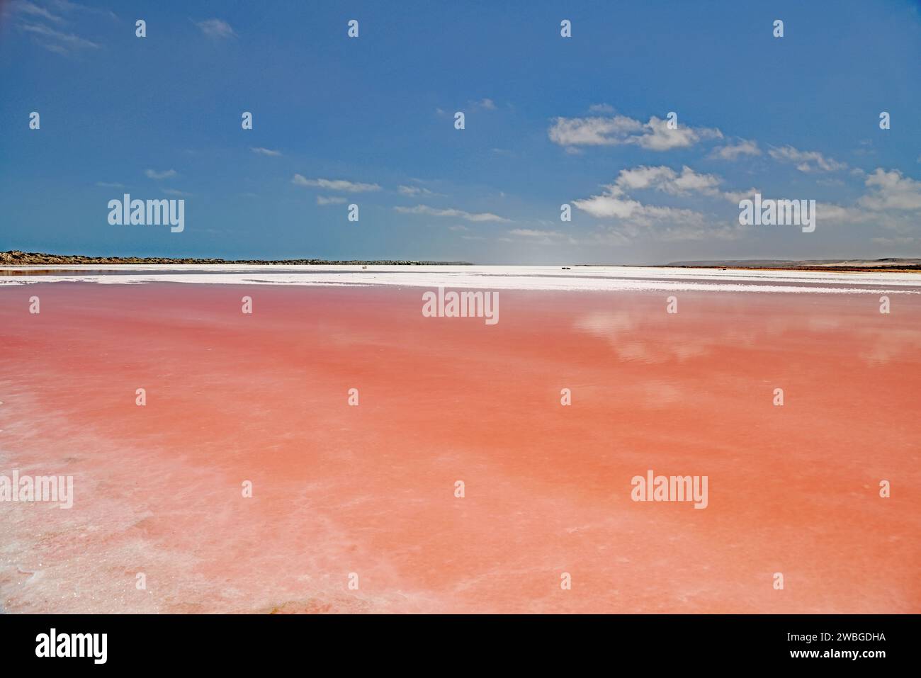 Hutt Lagoon (Pink Lake) Gregory, Western Australia Stock Photo - Alamy