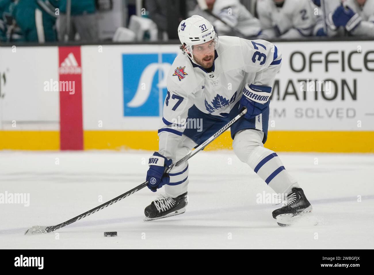 Toronto Maple Leafs defenseman Timothy Liljegren (37) against the San ... Toronto Maple Leafs defenseman Timothy Liljegren (37) against the San ...