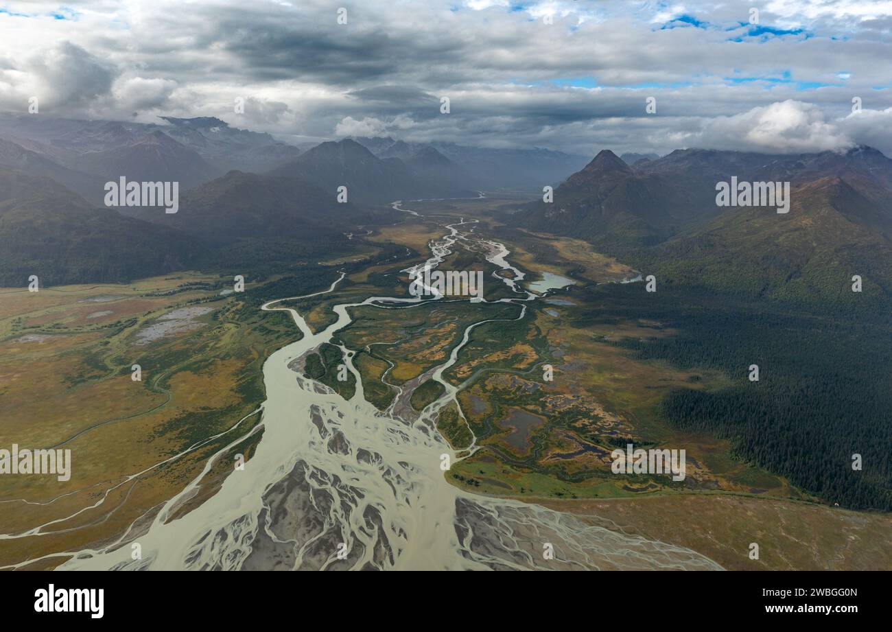 Aerial view of braided river flowing through autumn greens and yellows ...