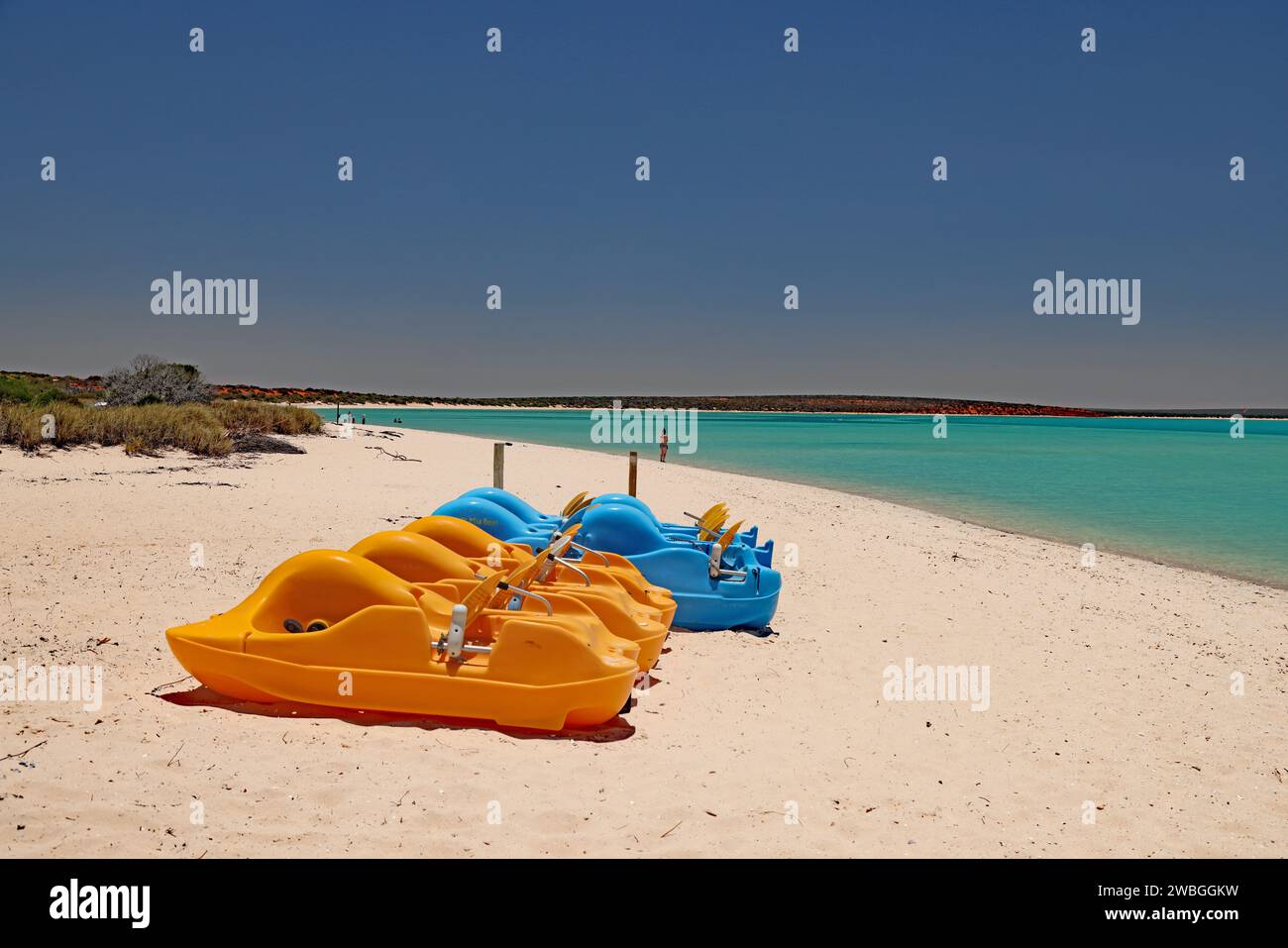 Monkey Mia, Shark Bay, Western Australia Stock Photo - Alamy