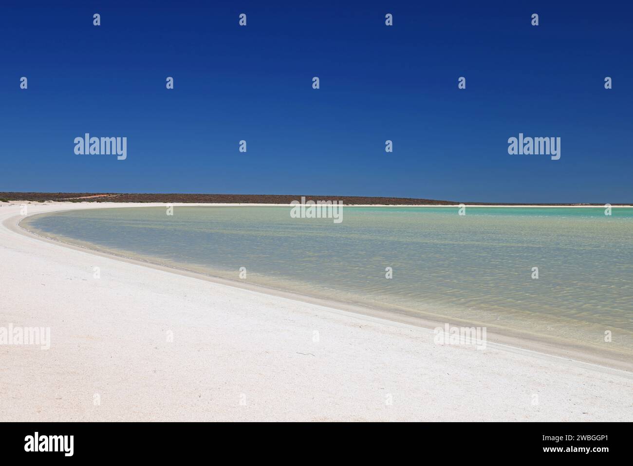 Shell beach western australia hi-res stock photography and images - Alamy