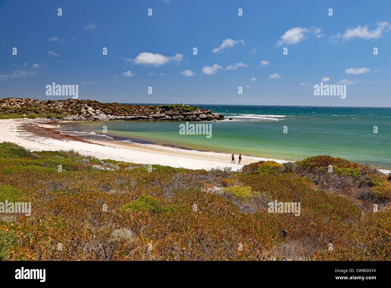Should have green head hi-res stock photography and images - Alamy