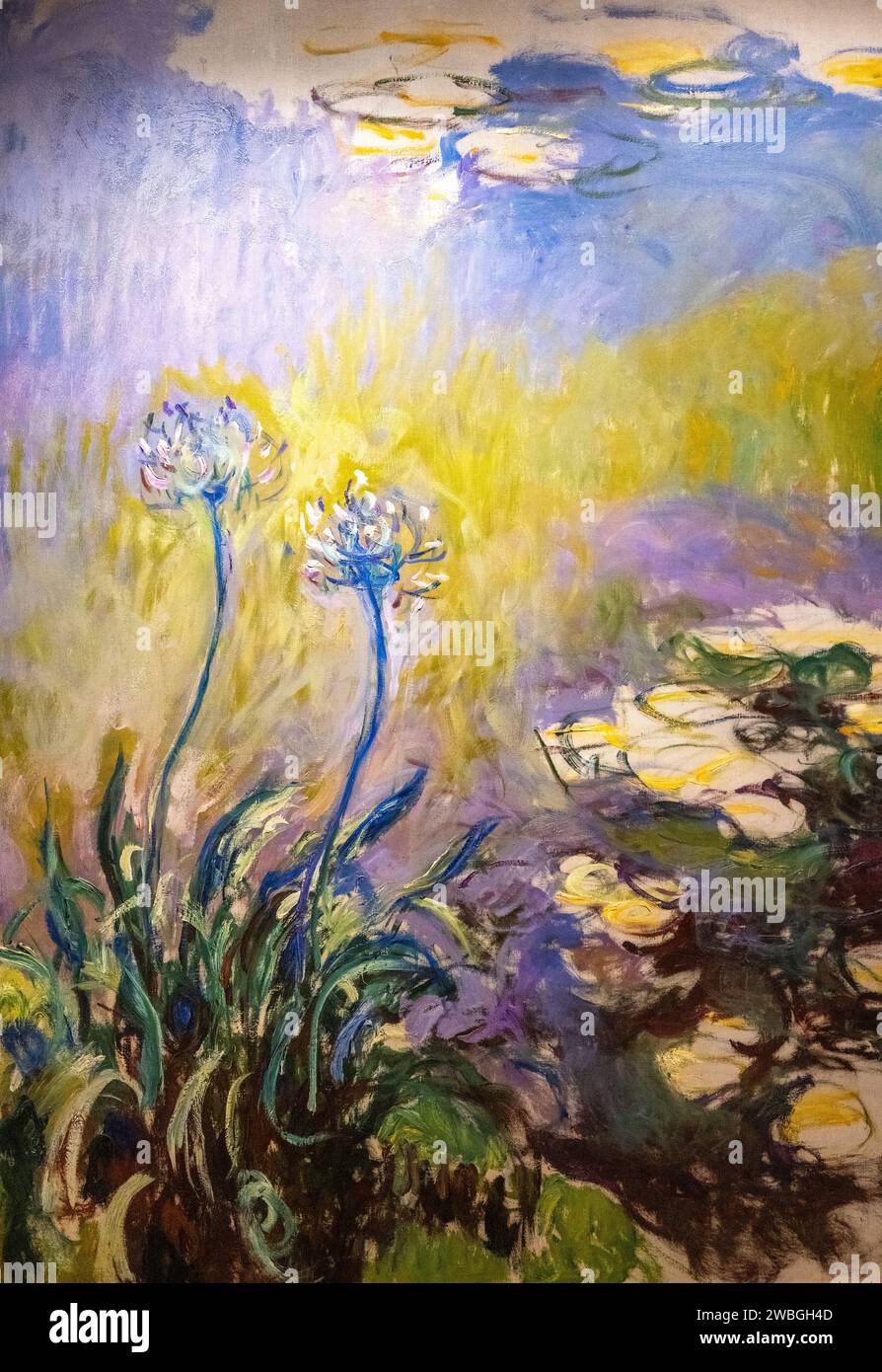 Painting "The Agapanthus" or "The Lily of the Nile" by Claude Monet ...
