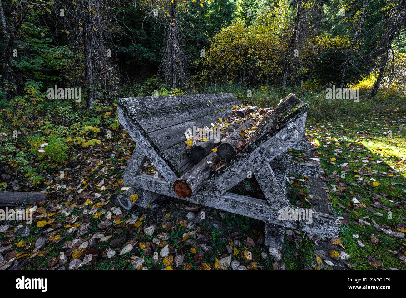 Forestry mulching machine hi-res stock photography and images - Alamy
