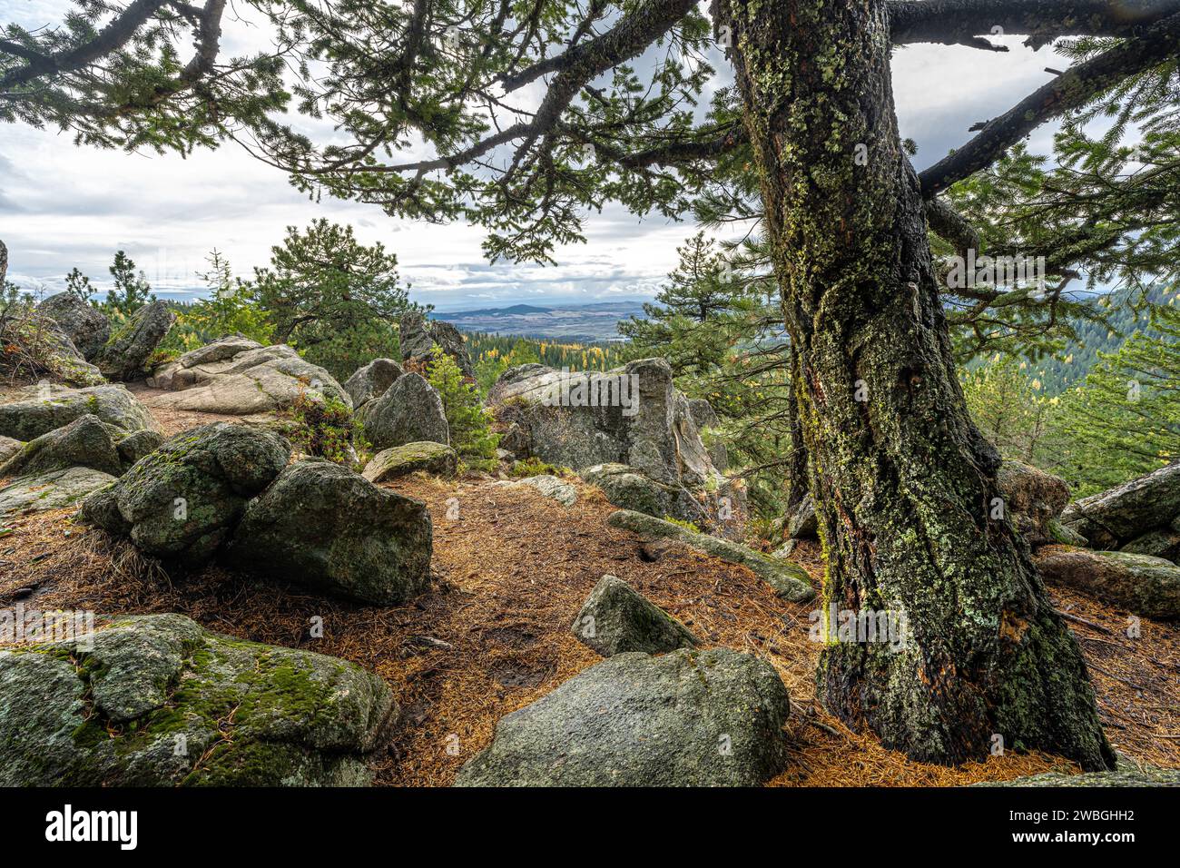Moscow Mountain in Northern Idaho Stock Photo - Alamy