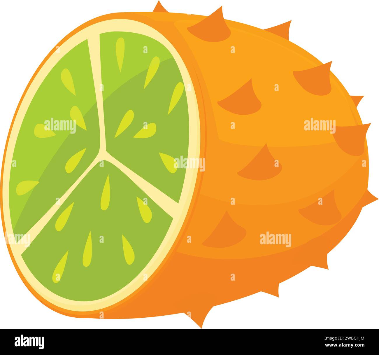 Spike half kiwano icon cartoon vector. Summer leaf tree. Plant orange ...