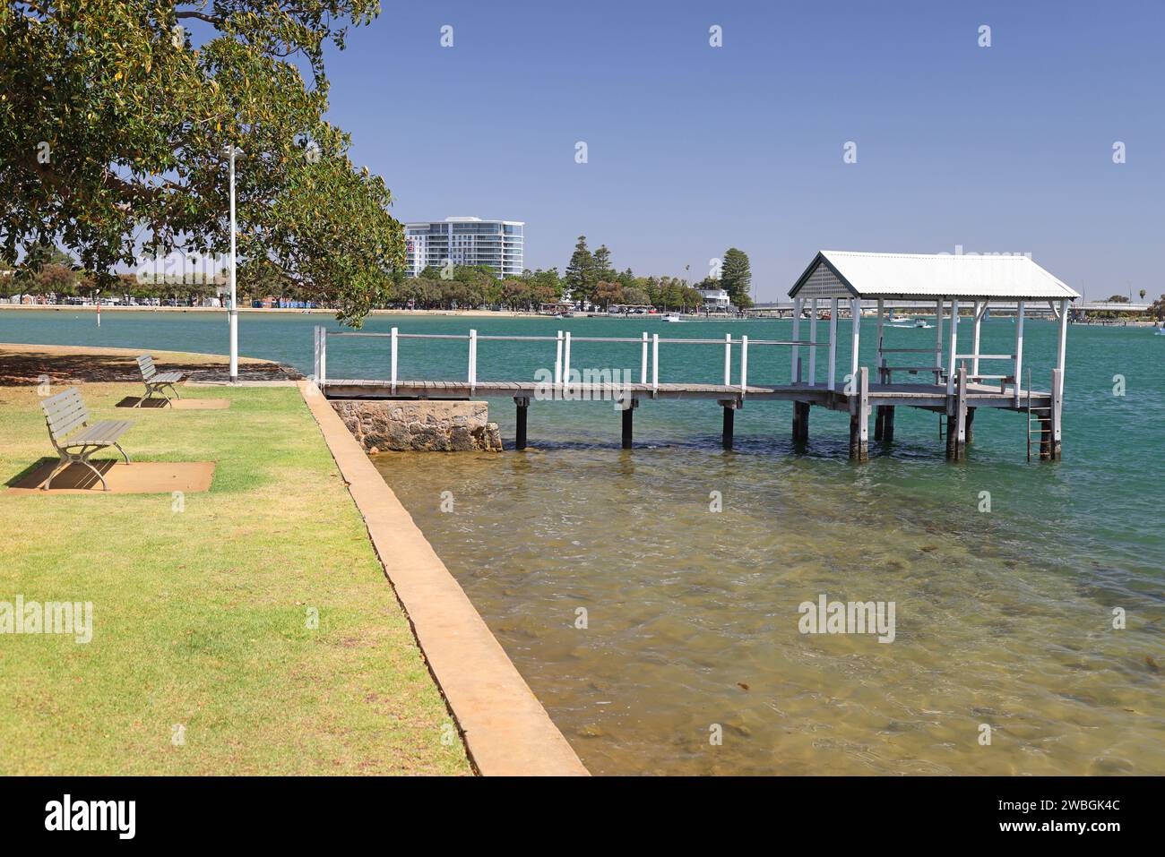 Australia stingray hi-res stock photography and images - Alamy