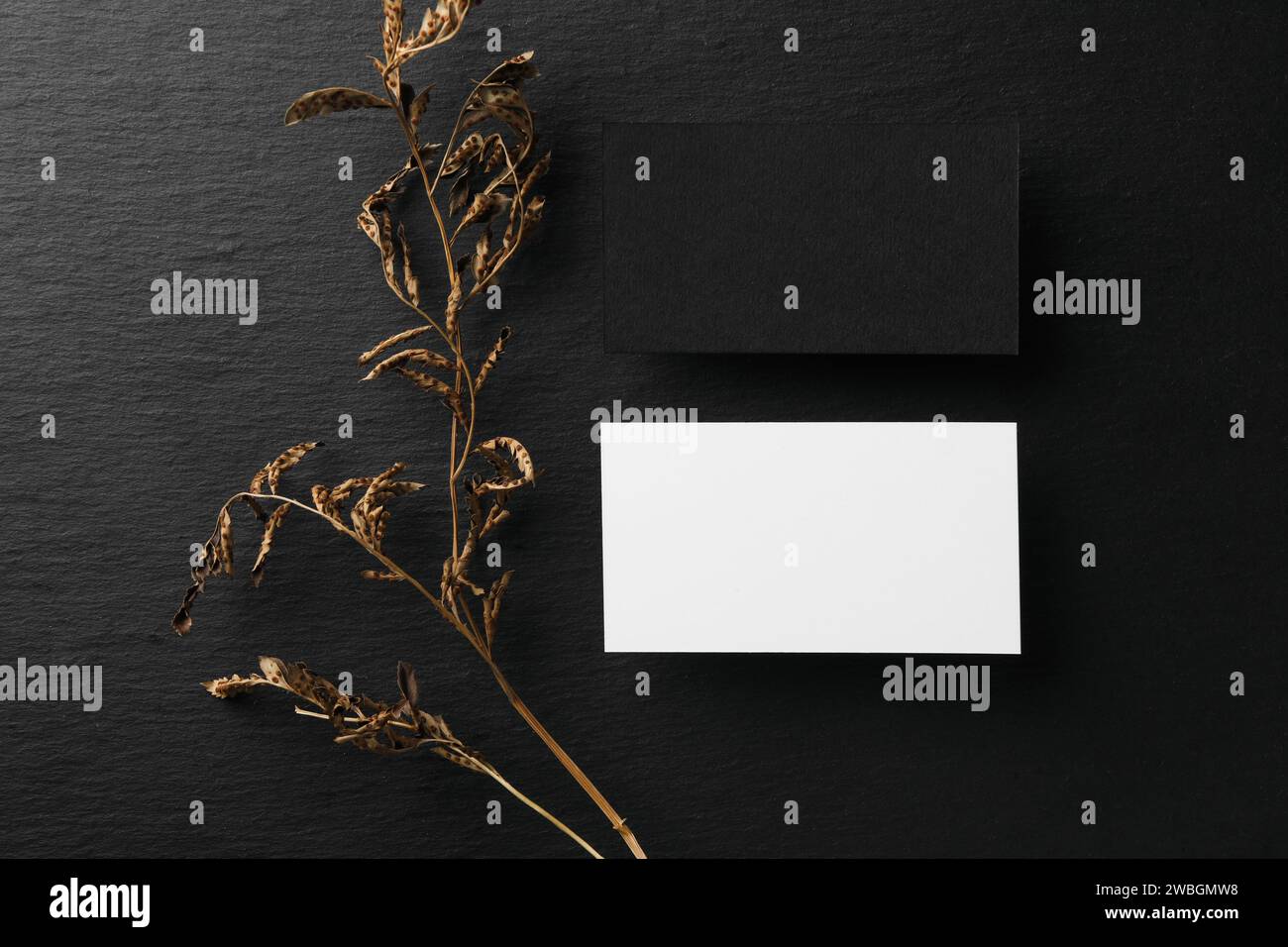 Empty business cards and dried plant on black background, flat lay ...