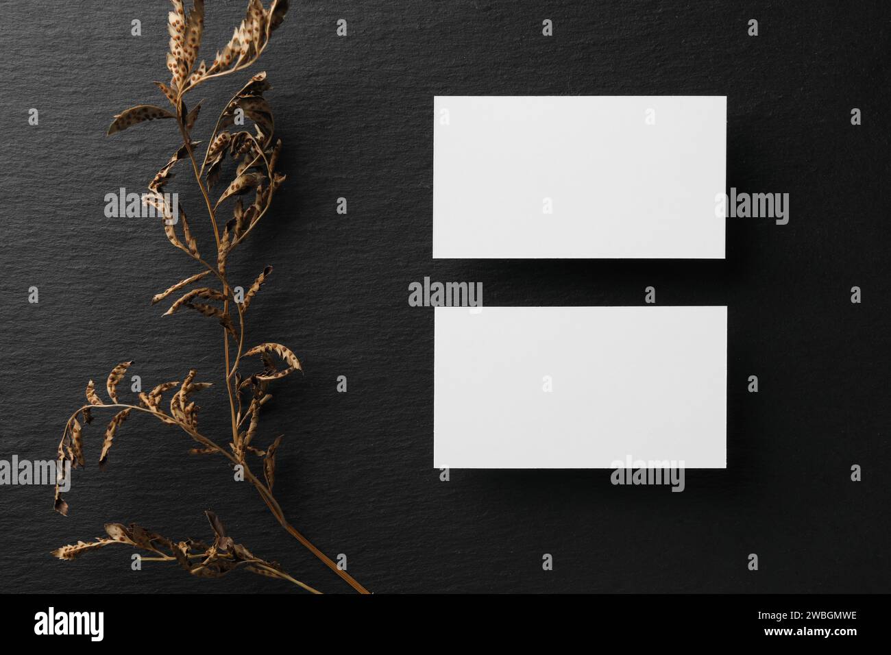Empty business cards and dried plant on black background, flat lay ...