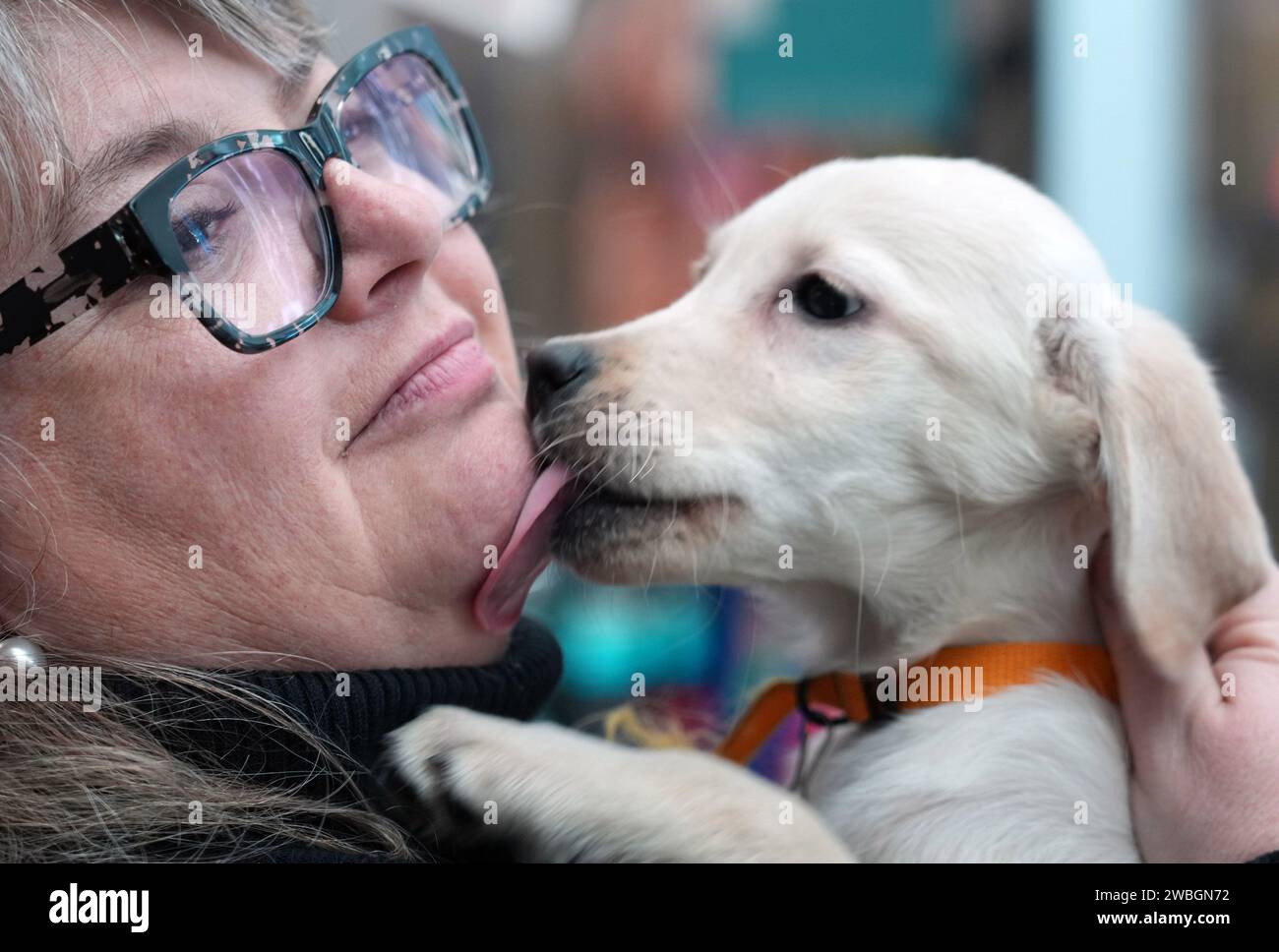 St. Louis, United States. 14th Jan, 2024. Humane Society worker Laura ...