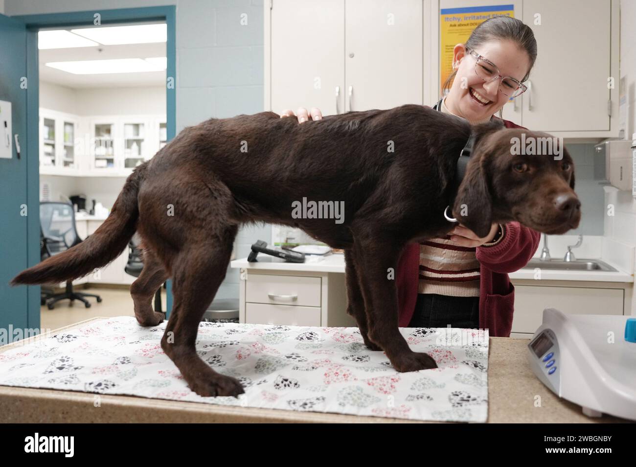 St. Louis, United States. 14th Jan, 2024. Humane Society worker Jessie ...
