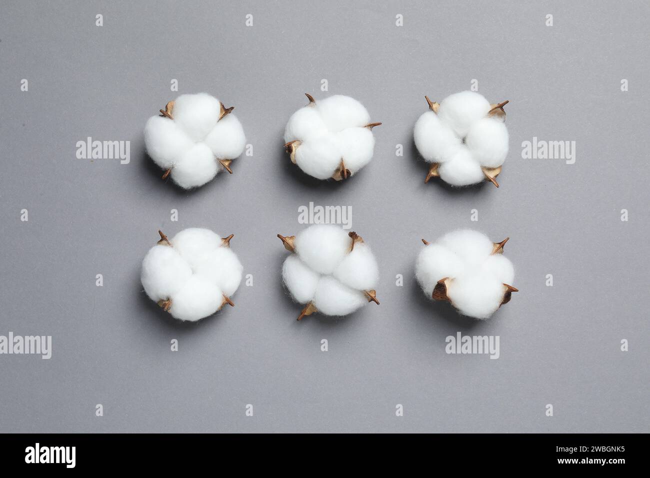 Flat lay cotton buds hi-res stock photography and images - Alamy