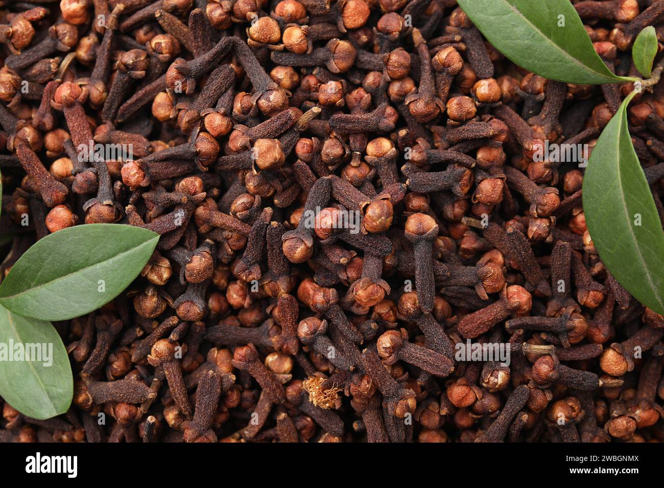 Many aromatic cloves and green leaves as background, top view. Space ...
