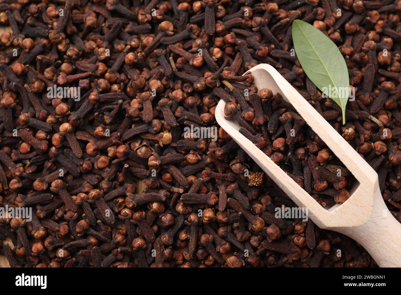 Many aromatic cloves, wooden scoop and green leaf as background, top ...