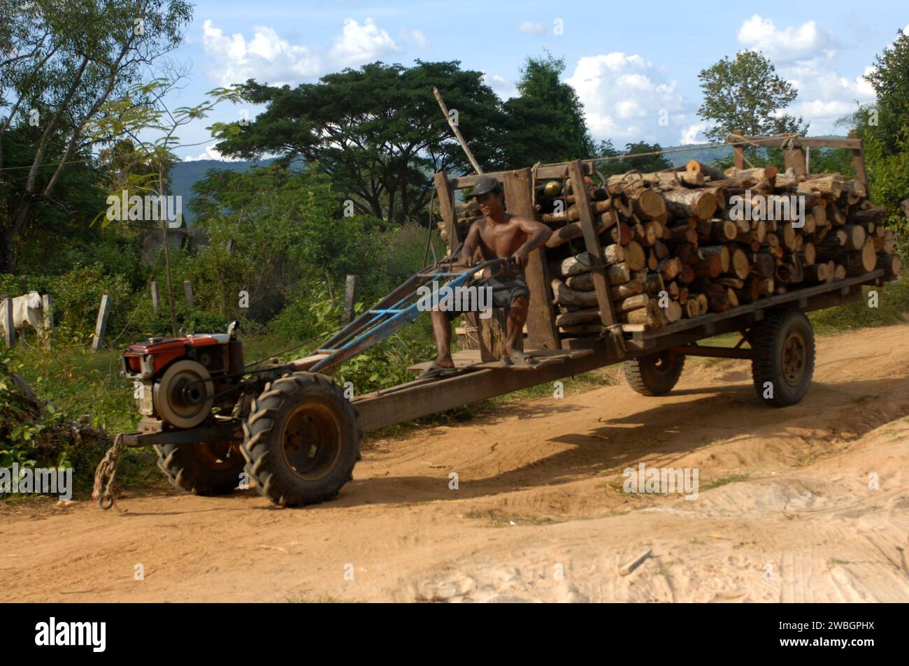 Man riding a tractor carrying logs, Beng Meala, Siem Reap, Cambodia ...