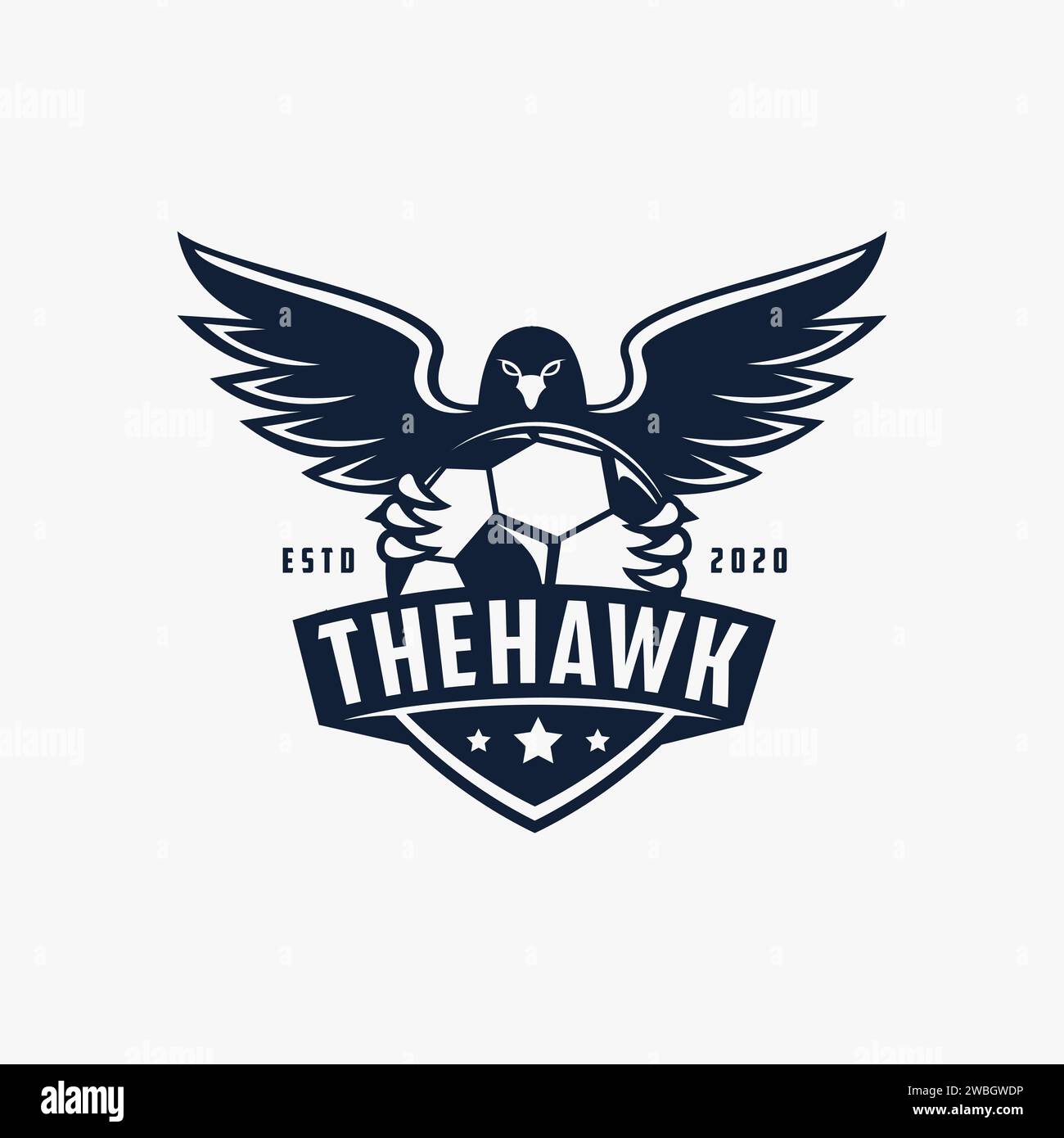 Hawk Football Logo Ball Hawks Football Inc | USA Football League