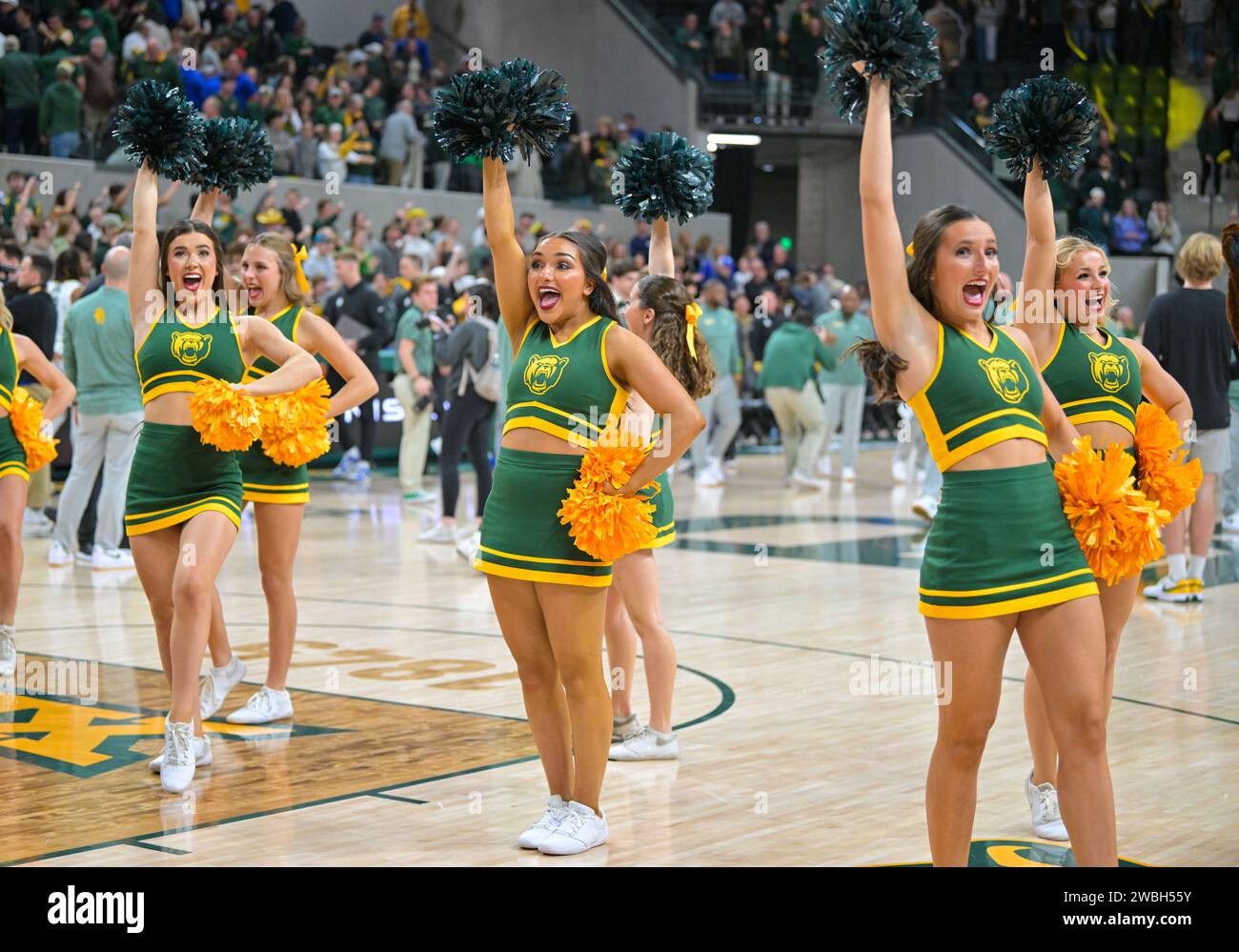 Waco, Texas, USA. 9th Jan, 2024. Baylor Bears cheerleaders perform ...