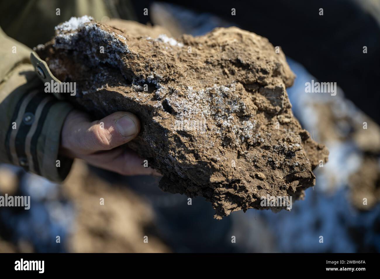 Leinfelden, Germany. 10th Jan, 2024. A farmer shows a lump of soil in a ...