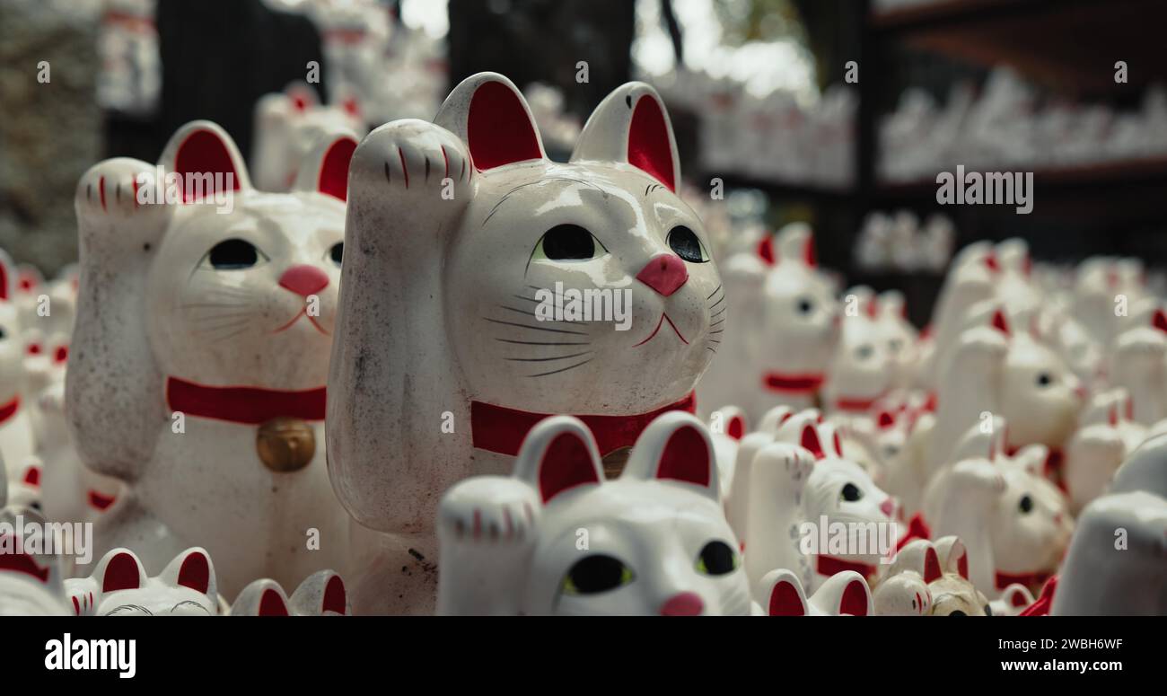 Religion cat hi-res stock photography and images - Alamy