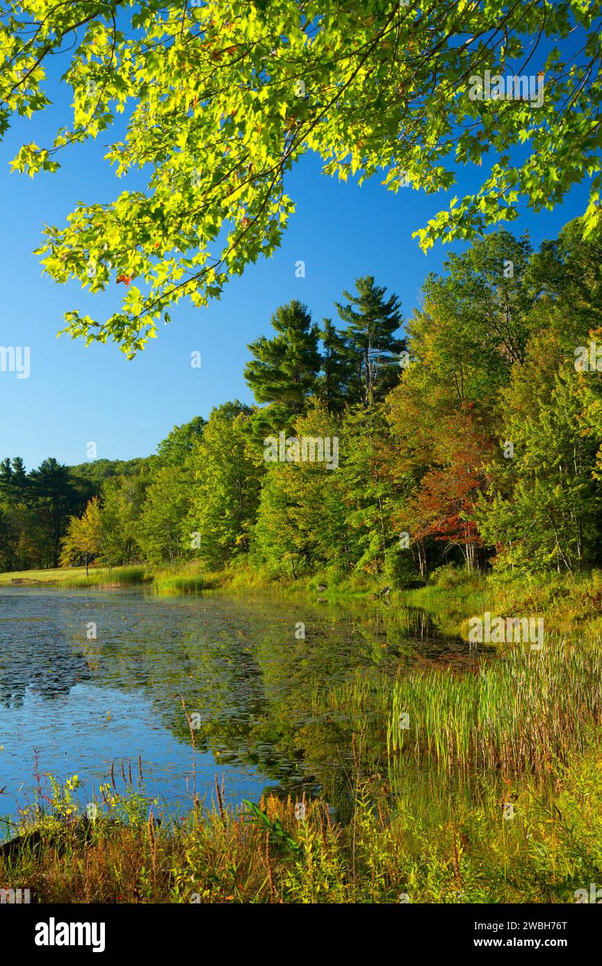 Thousand Acre Pond, Thousand Acre Pond Access Site, Massachusetts Stock ...