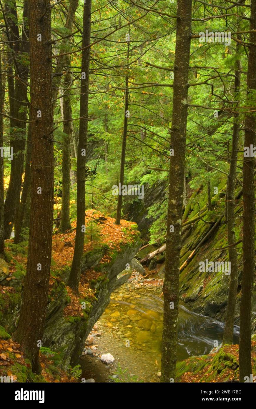 Texas Brook, Texas Falls Recreation Area, Green Mountain National ...