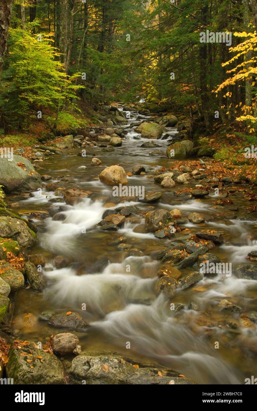 Hancock Branch of the White River along Hancock Branch Trail, Texas ...