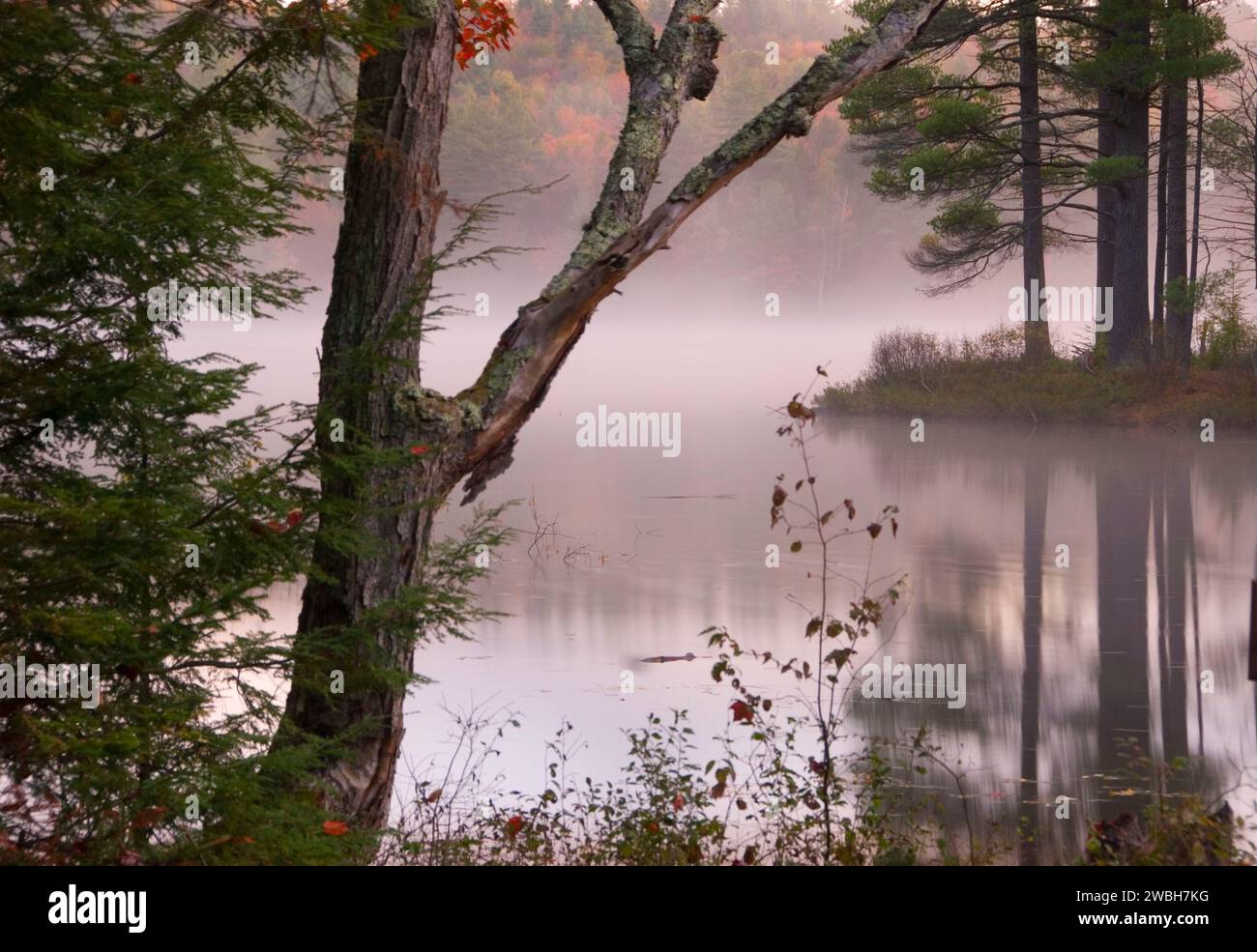 Lowell Lake, Lowell Lake State Park, Vermont Stock Photo - Alamy