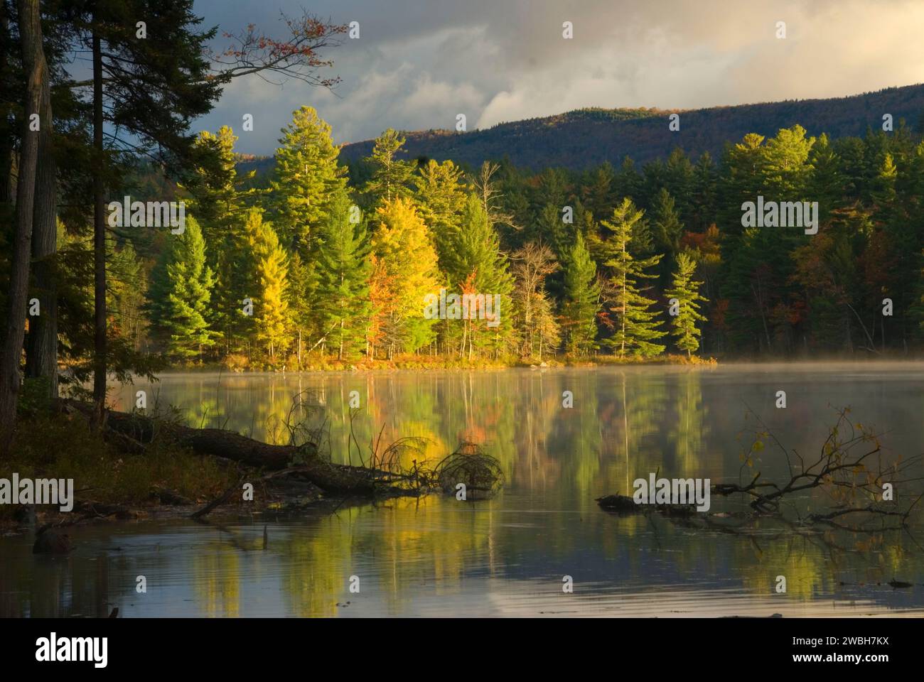 Lowell Lake, Lowell Lake State Park, Vermont Stock Photo - Alamy