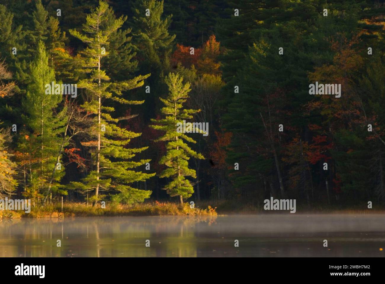 Lowell Lake, Lowell Lake State Park, Vermont Stock Photo - Alamy