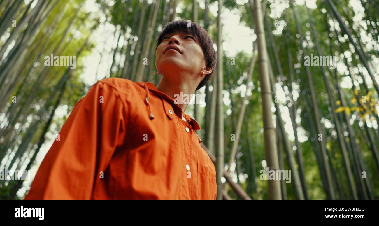 Japanese man, bamboo trees and nature on walk, adventure and hiking ...