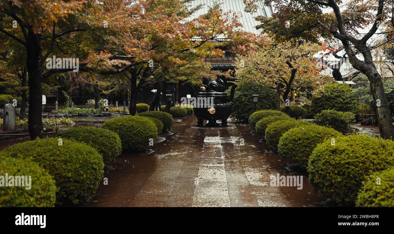 Japan graveyard, nature and trees by shrine in landscape environment ...