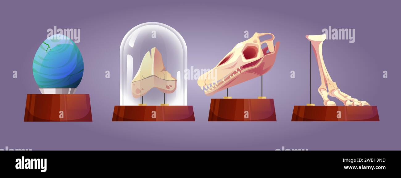 Science museum exhibits set isolated on background. Vector cartoon ...