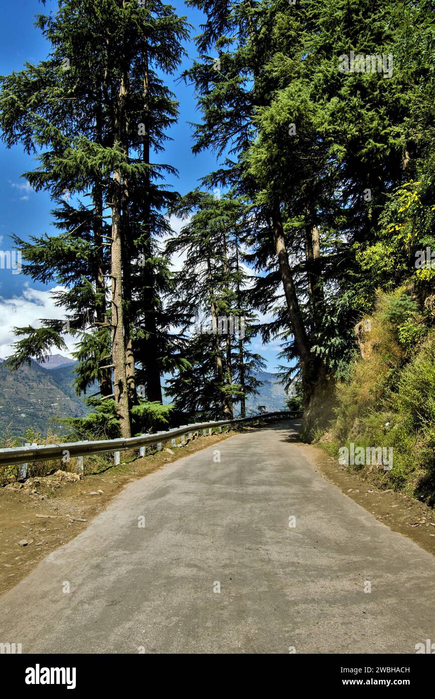 Road, Kullu to Naggar, Himachal Pradesh, India, Asia Stock Photo - Alamy