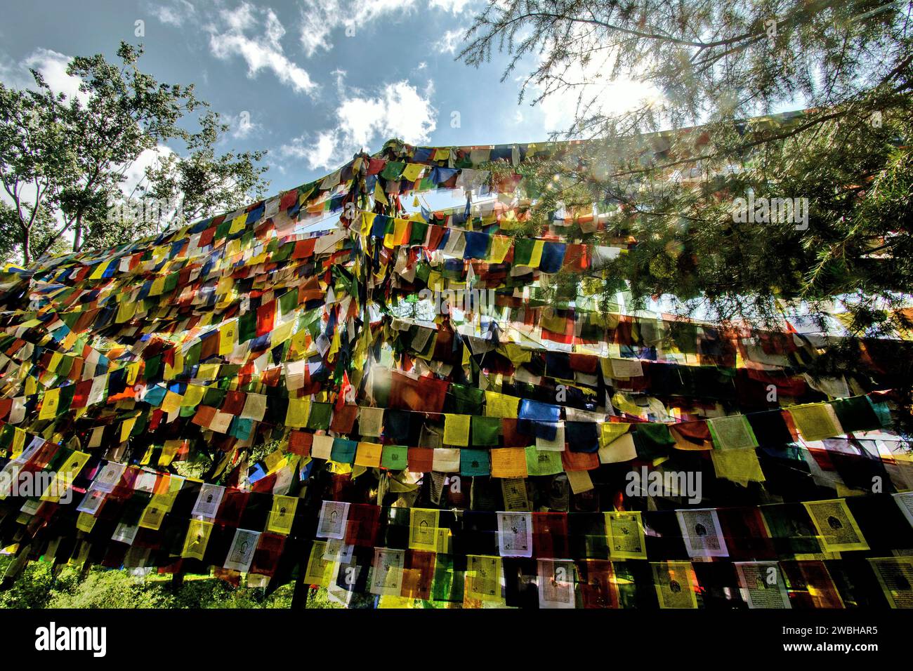 Prayer flags outside Drikung Kagyu Gompa Buddhist Monastery, Wongmin ...