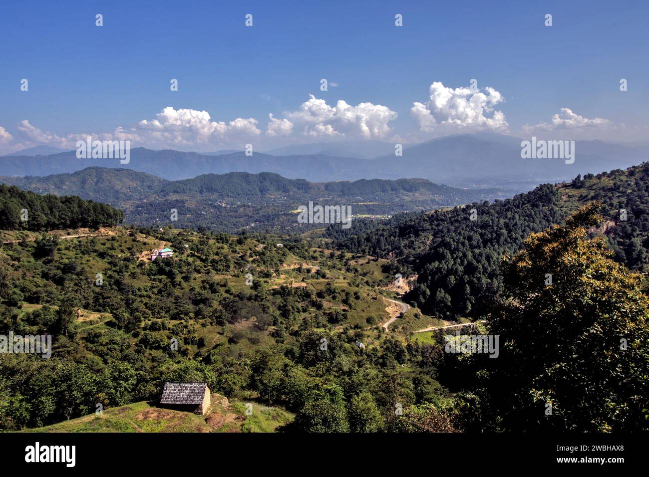 Indian mandi hi-res stock photography and images - Alamy