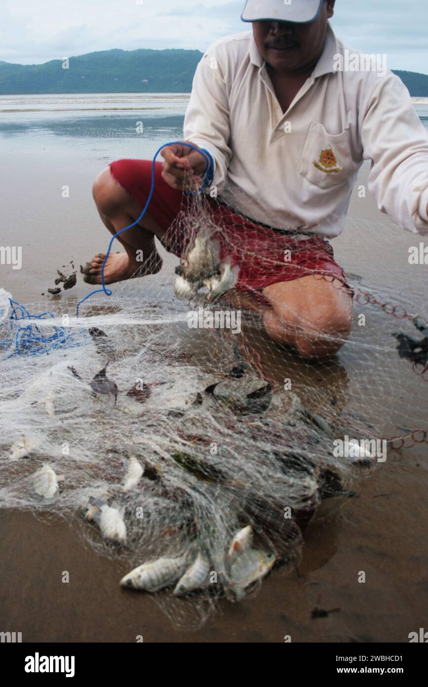 Fisherman on the coast of the Pacitan area harvest the fish in their ...