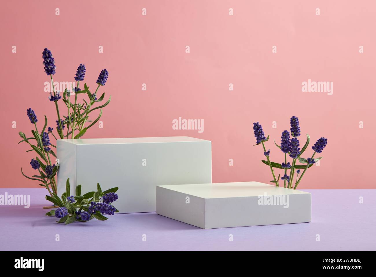 Abstract background for branding and minimal presentation with lavender ...