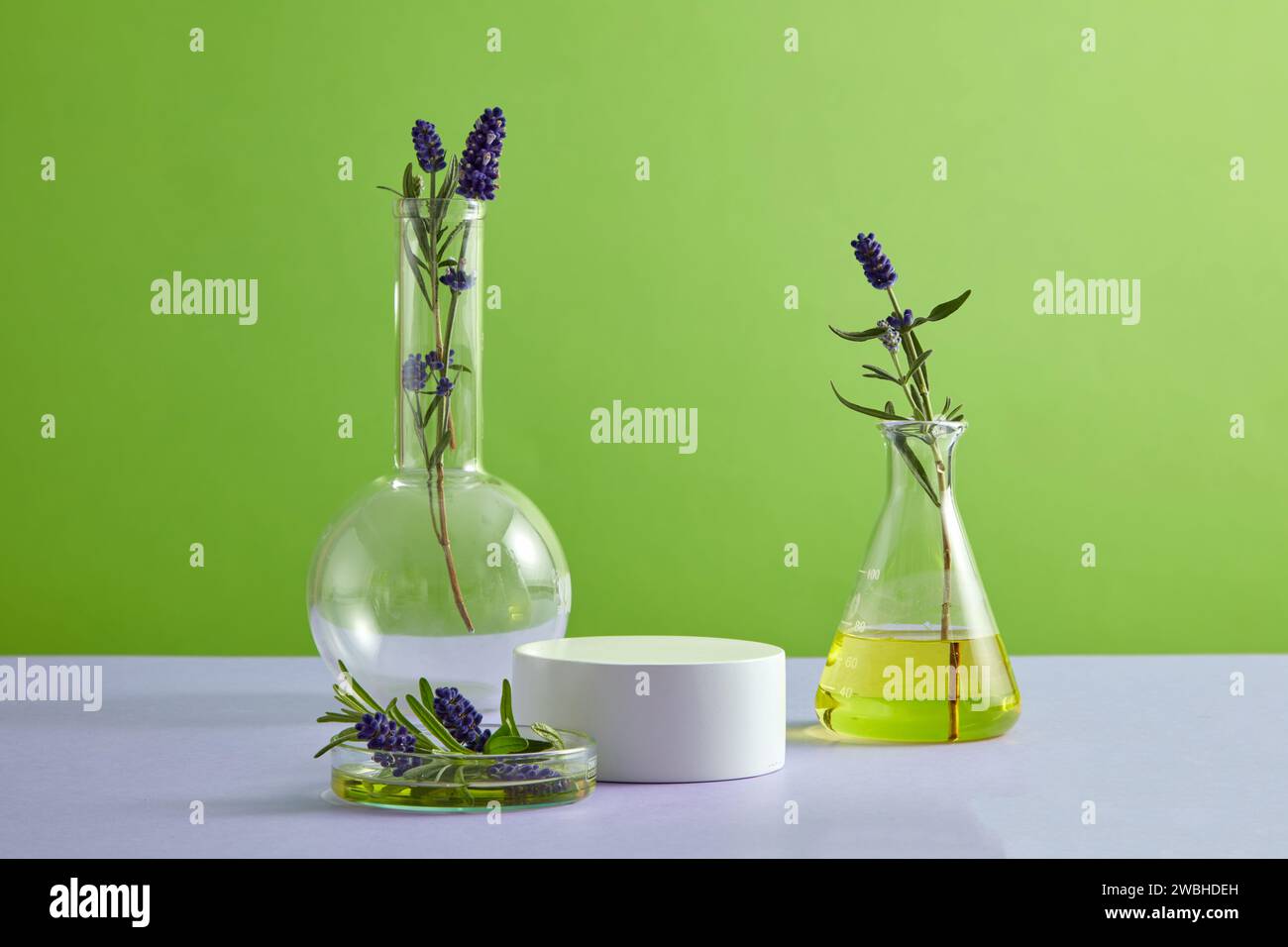 Pedestal for cosmetic product and packaging mockups display ...