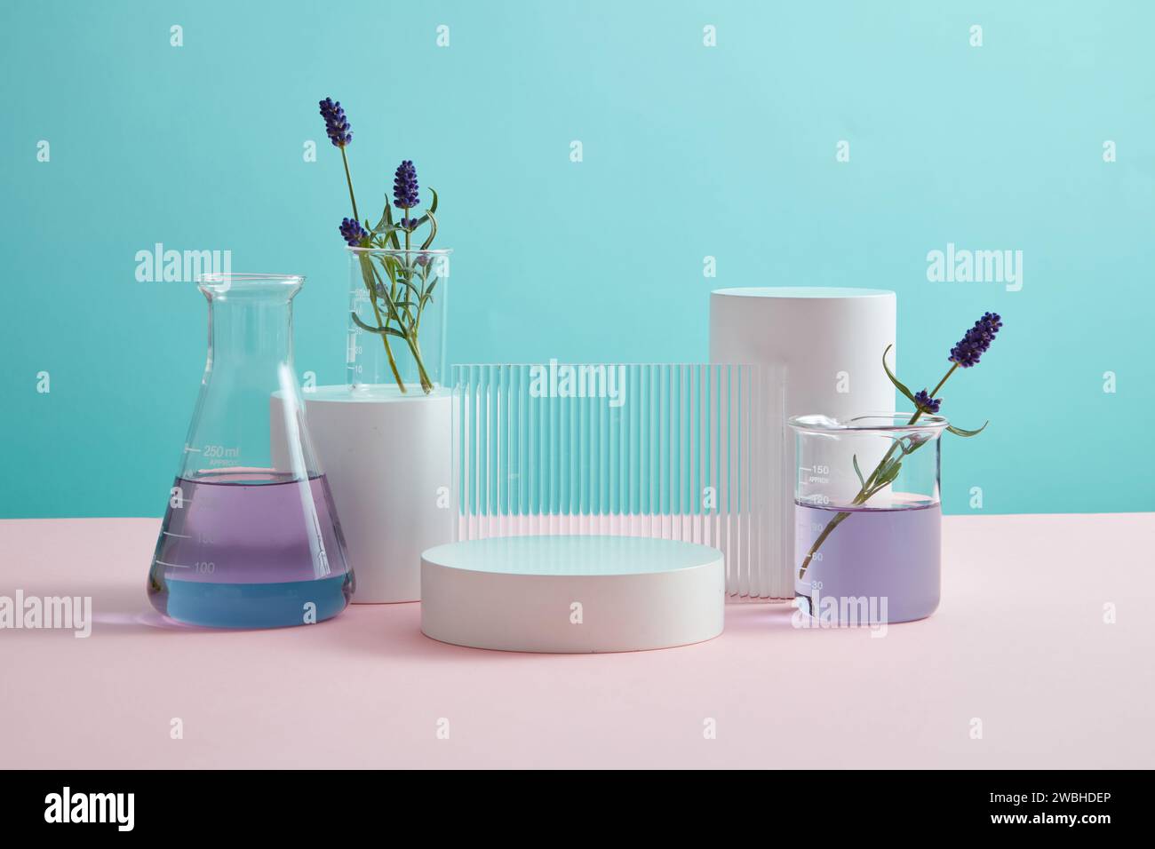 Against the pastel background, beaker and erlenmeyer flask container ...