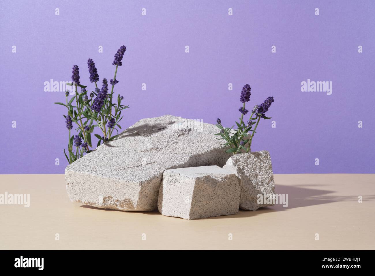 Abstract background minimal presentation with lavender flower. On a ...