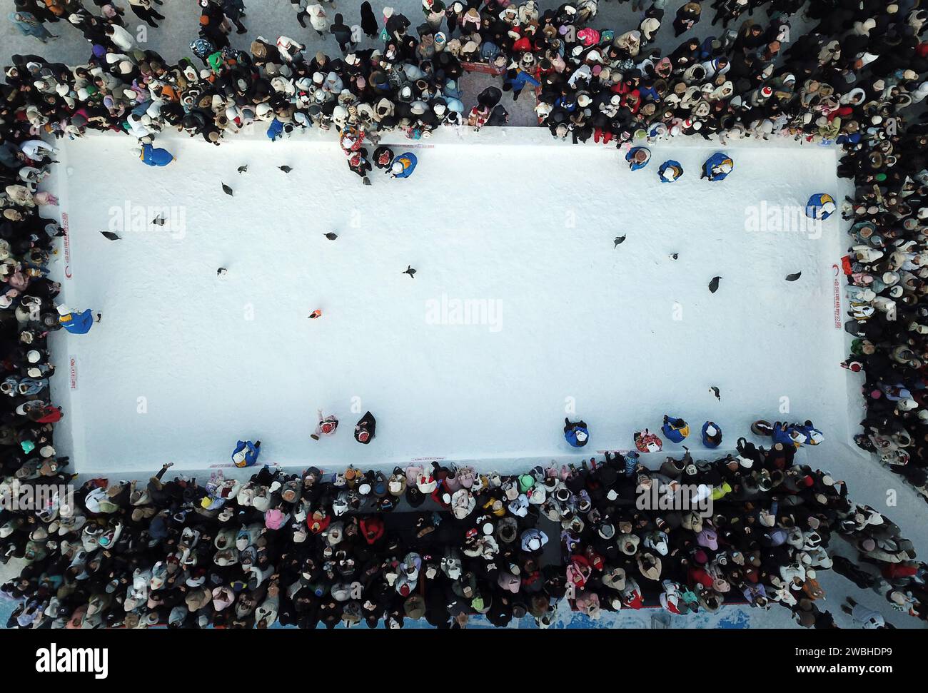 Harbin. 5th Jan, 2024. An aerial drone photo taken on Jan. 5, 2024 ...