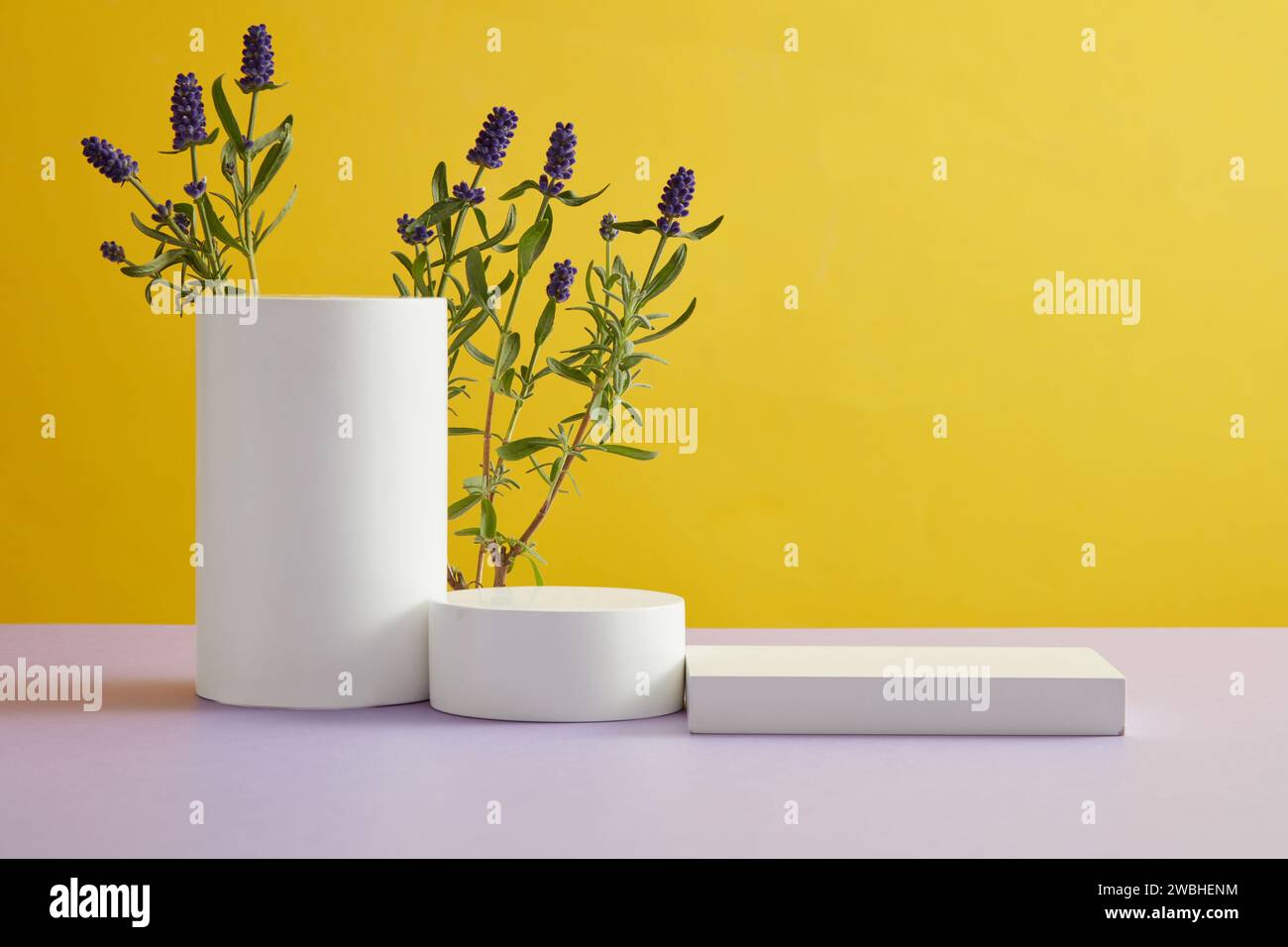 Pedestal for cosmetic product and packaging mockups display ...
