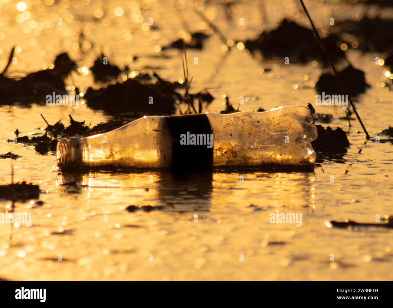 Plastic pollution in rivers. Bottles, plastic bags thrown into the ...