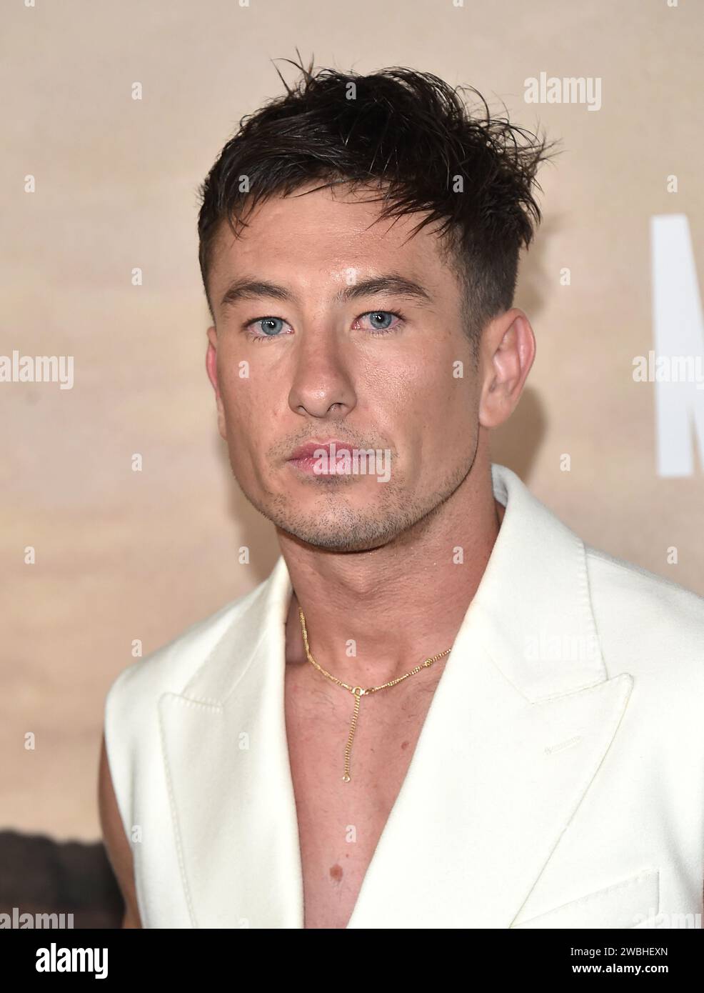 Westwood, USA. 10th Jan, 2024. Barry Keoghan arriving to Apple TV ...