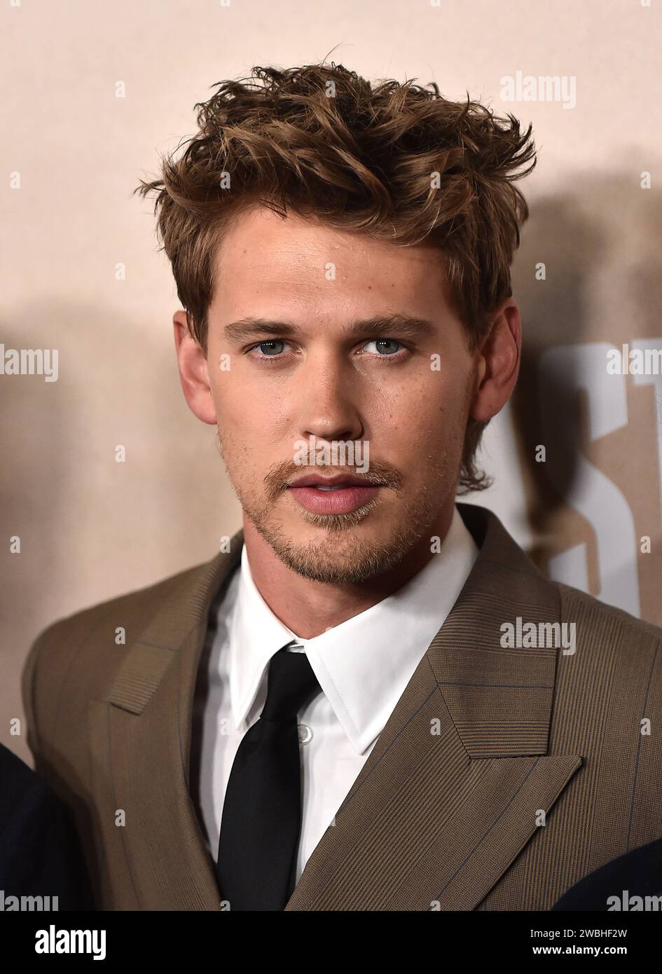 Westwood, USA. 10th Jan, 2024. Austin Butler arriving to Apple TV ...