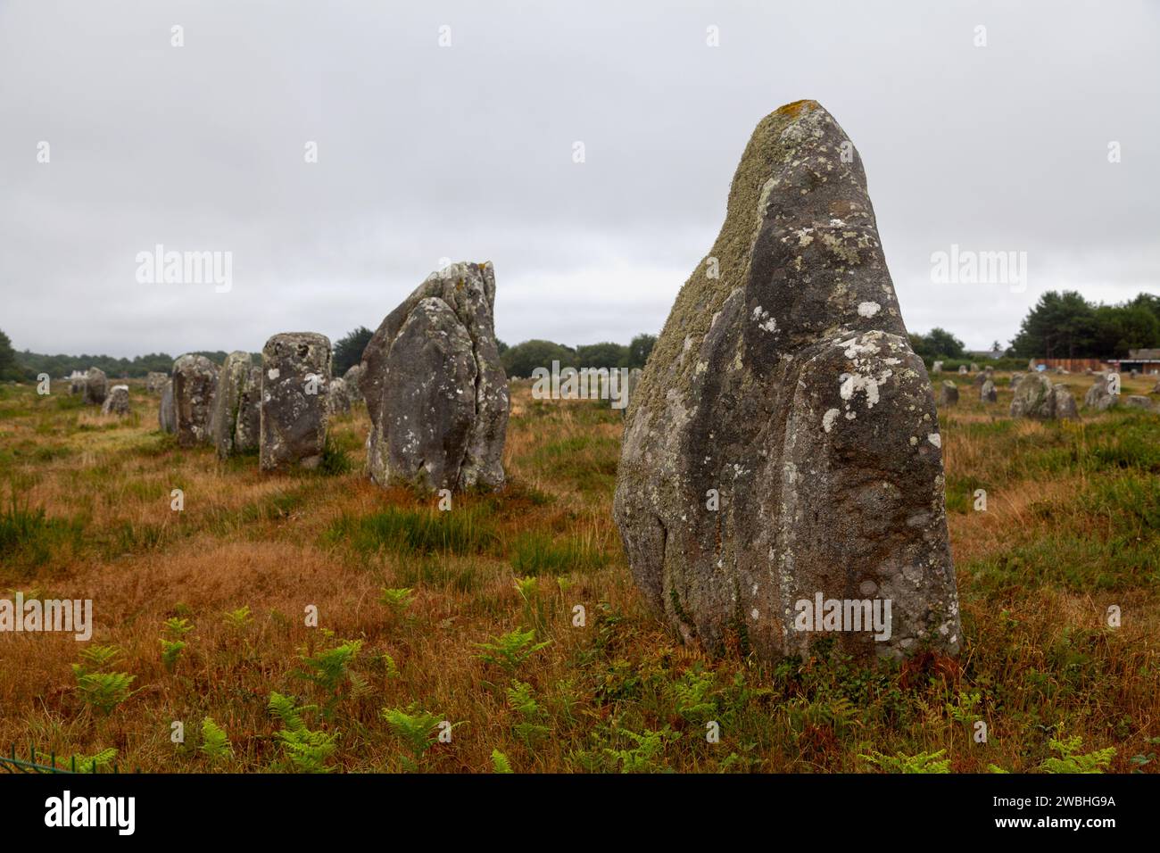 The Carnac stones are an exceptionally dense collection of megalithic ...
